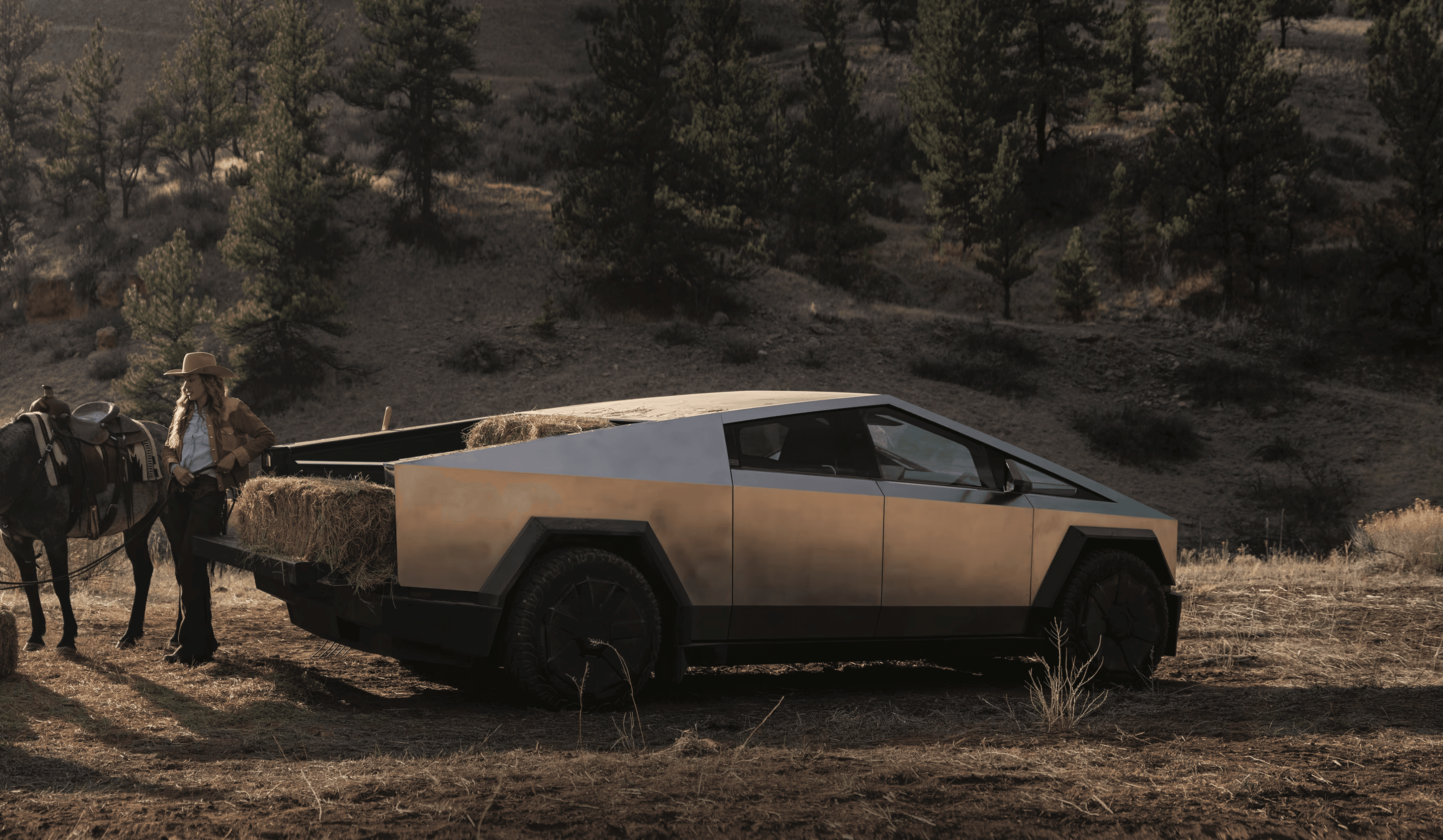 Tesla To Demonstrate Flying Car Within Next Few Months - Elon Musk ...